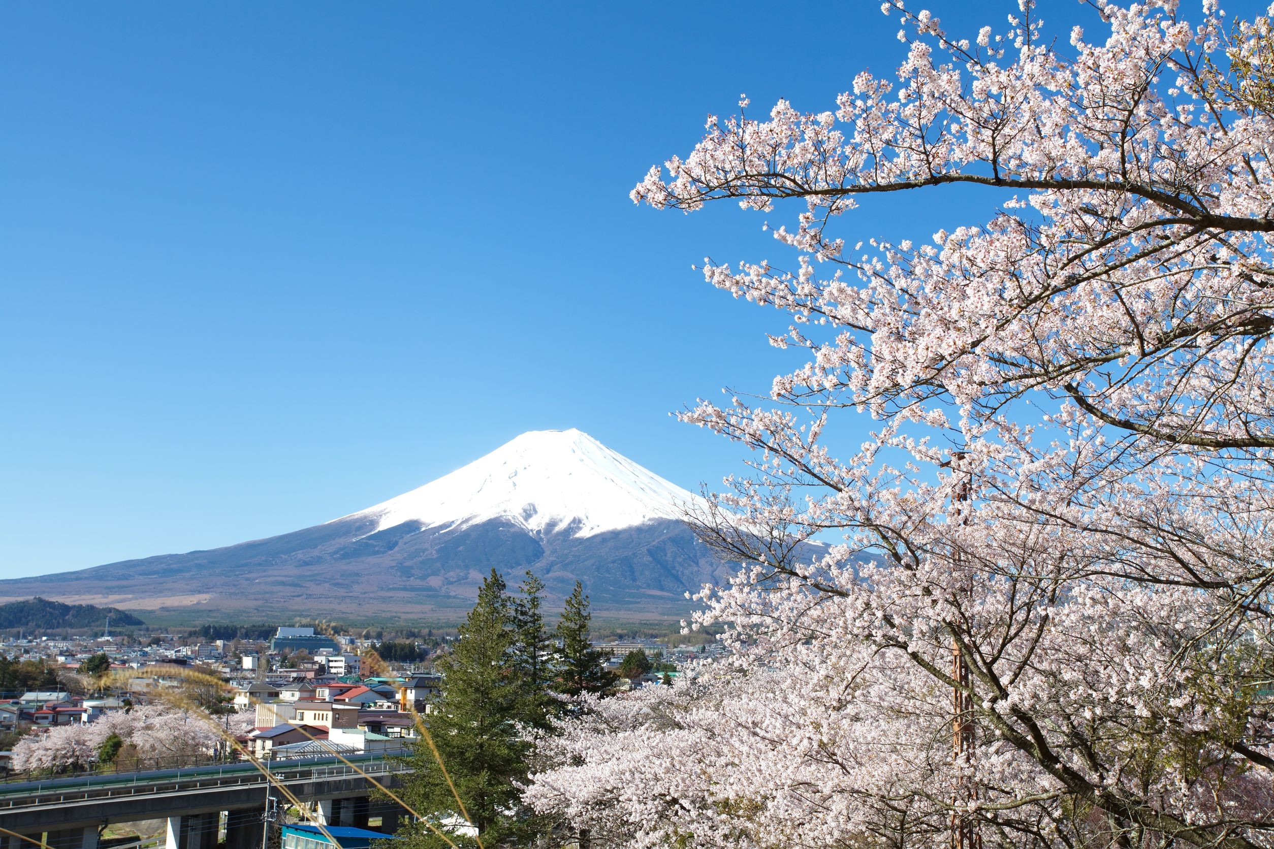 Nousevan auringon maa - Japani – Lomalinja